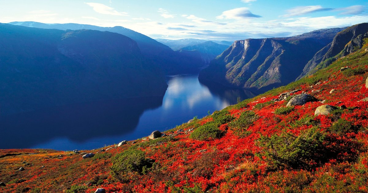 Äventyr på Sognefjorden / Authentic Scandinavia